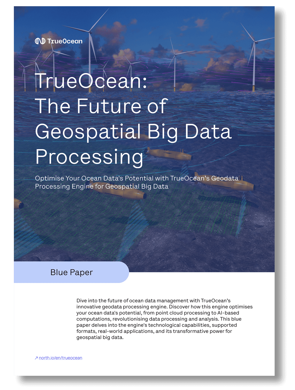 TrueOcean: The Future of Geospatial Big Data Processing