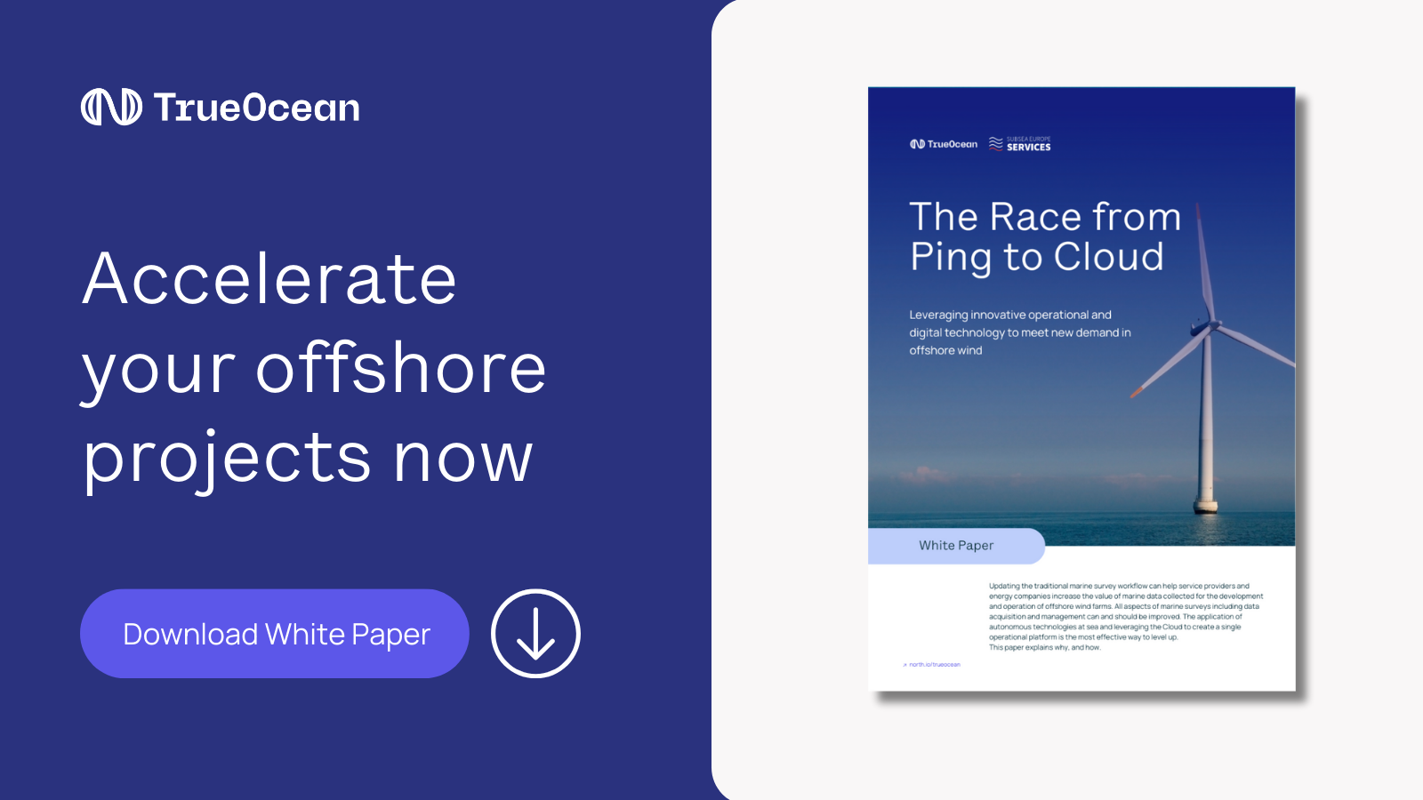 White paper: The Race from Ping to Cloud